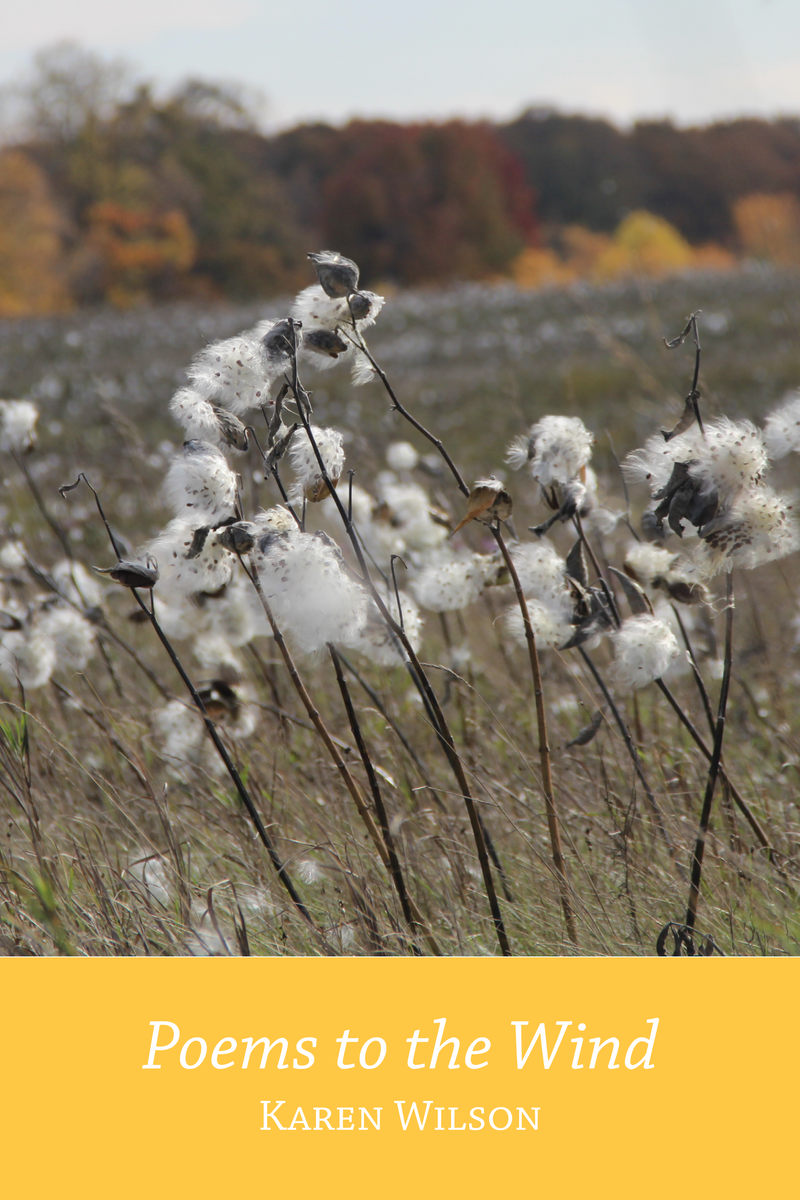 Poems to the Wind – Sand Beach Press